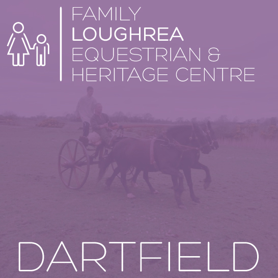 Dartfield-Portfolio-Block - This is Galway