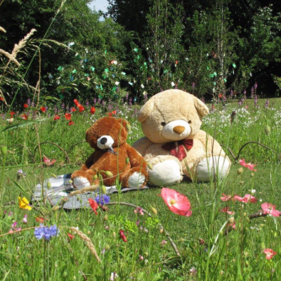 Teddy Bear square - This is Galway